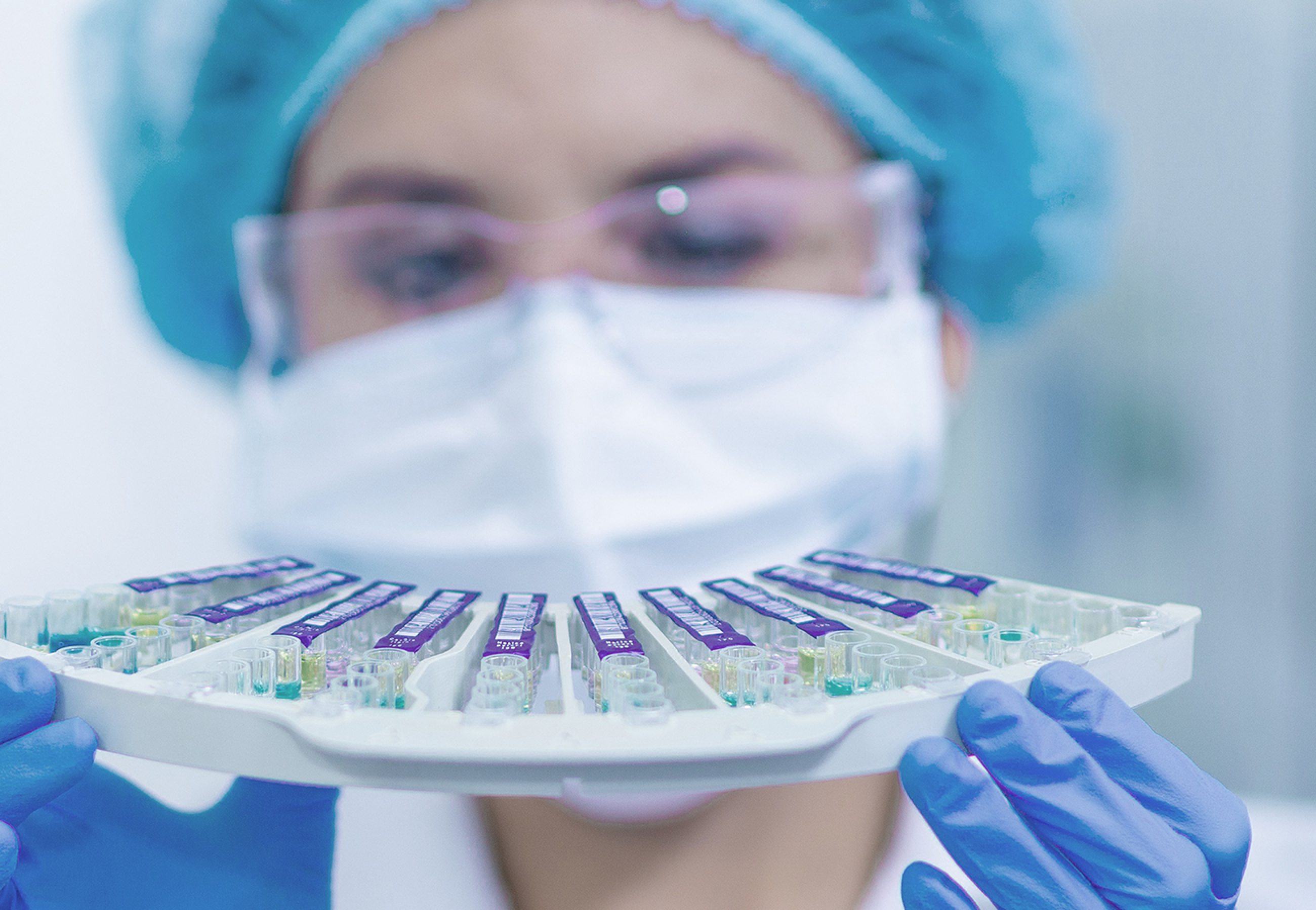 Home | Veterinary Scholars Program